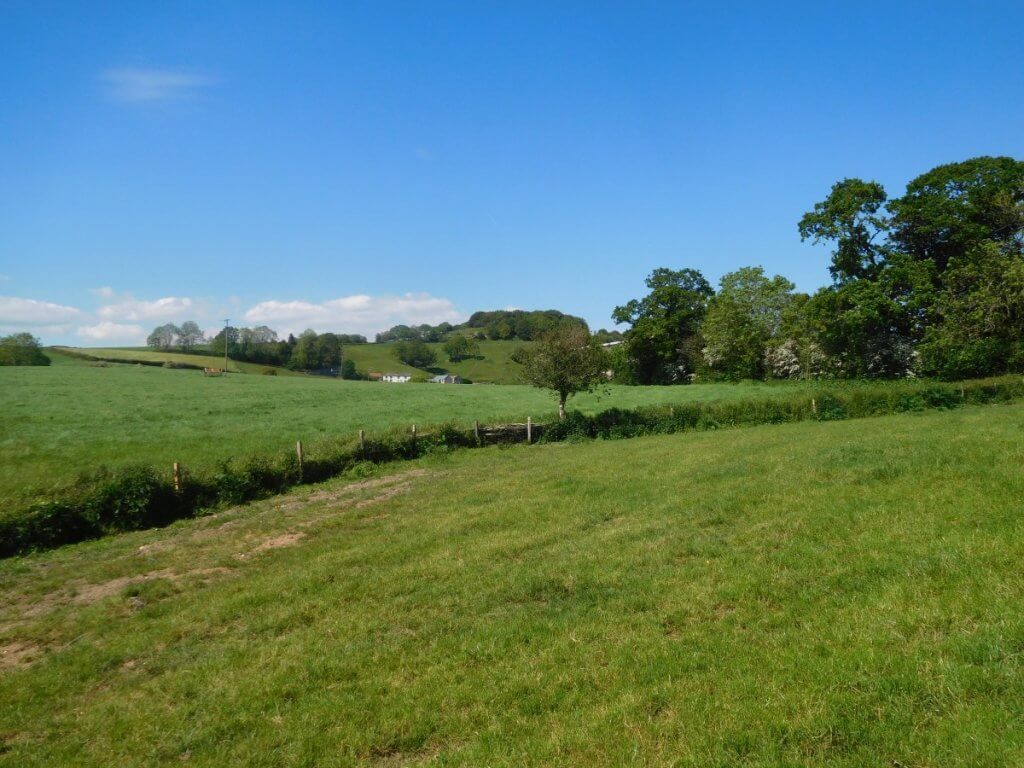 Devon Hedge Laying Competition - Devon Hedge Group